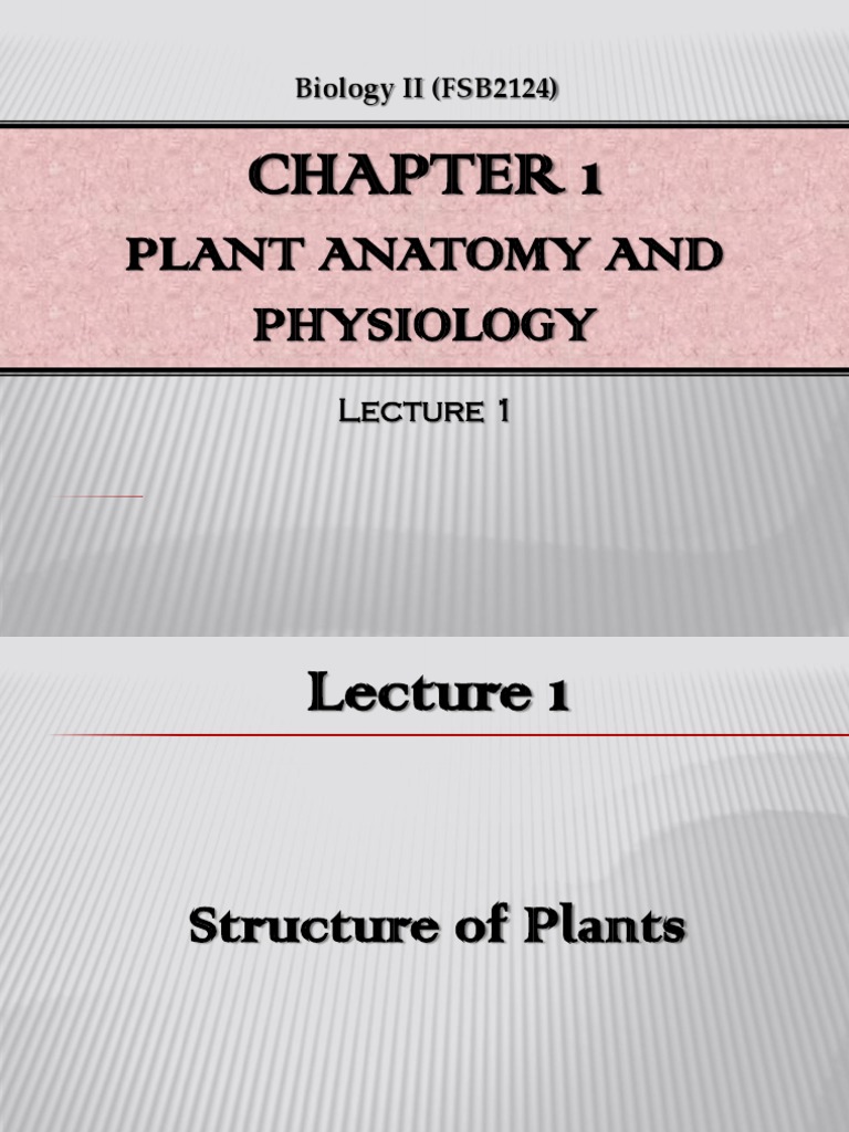 Plant Anatomy and Physiology Overview | PDF | Tissue (Biology) | Plant Stem