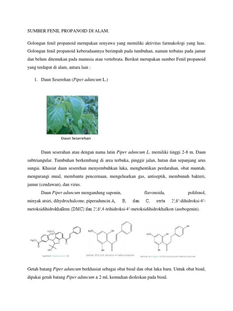 Farkog Fenil Propanoid | PDF