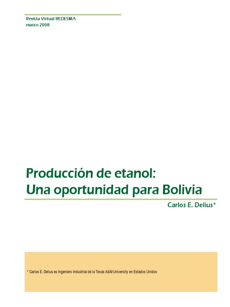 A06 PDF | PDF | Biocombustible | Energía renovable