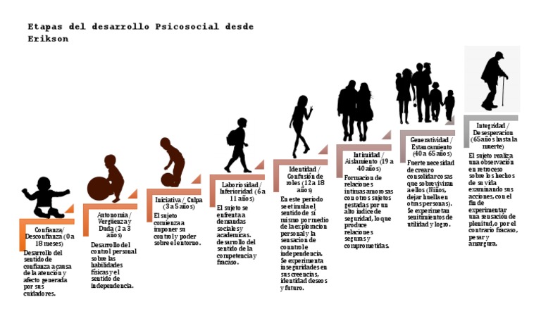Etapas Del Desarrollo Psicosocial Psicología Ciencias Del
