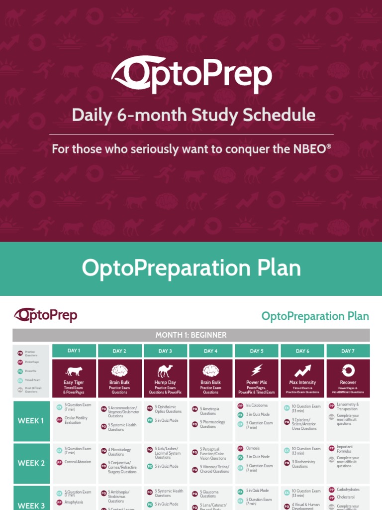 OptoPrep Part1 StudyCalendar 6-Month PDF | PDF | Human Eye | Cornea