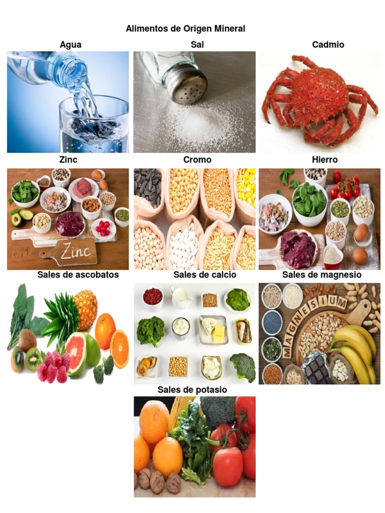 Alimentos de Origen Mineral | PDF | Comida y bebida | Cocina