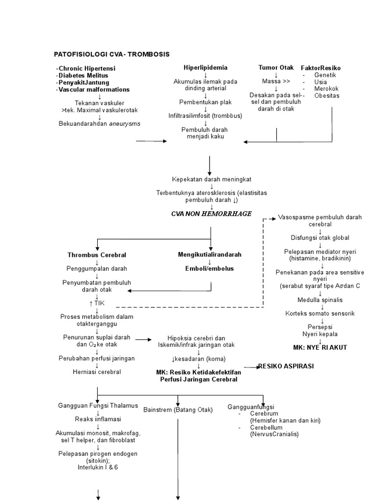 Patofisiologi Cva Trombosis | PDF