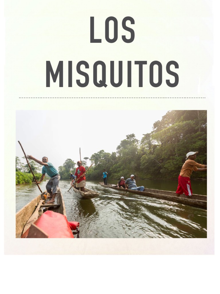 Cultura y Origen de los Misquitos | PDF | Agricultura
