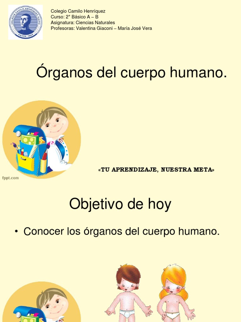 2°básico-Ciencias Naturales-Órganos Del Cuerpo Humano | PDF