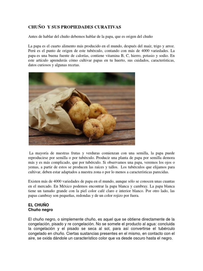 Chuño: Origen, Elaboración y Beneficios | PDF | Patata | Comida y bebida