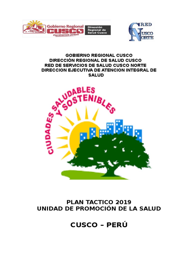 Plan Tactico Promsa 2019 | PDF | Promoción de la salud | Asistencia ...