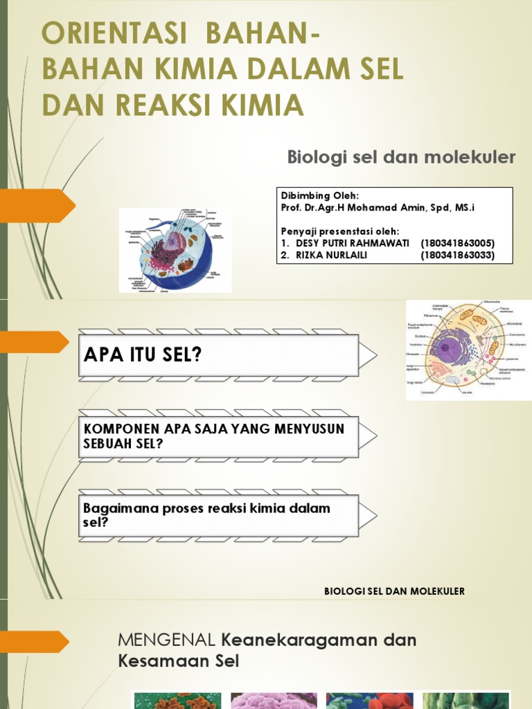 Kelompok 1 Orientasi Bahan Kimia Sel Dan Reaksi Kimiawi Sel | PDF