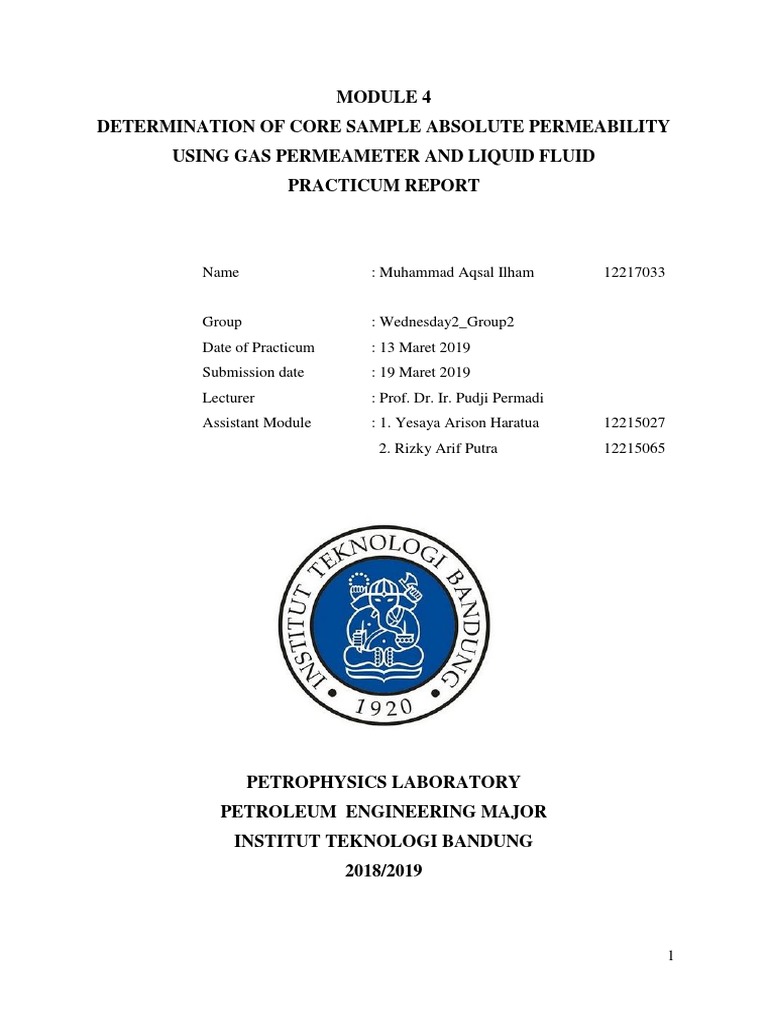 Determination of Core Sample Absolute Permeability Using Gas ...
