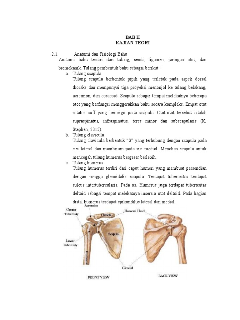 ANATOMY AND PHYSIOLOGY OF THE SHOULDER | PDF