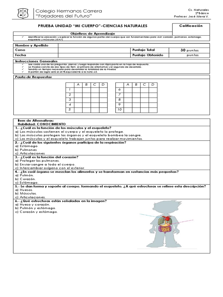 Prueba 2 Basico Mi Cuerpo Ciencias Naturales | PDF | Corazón | Pulmón