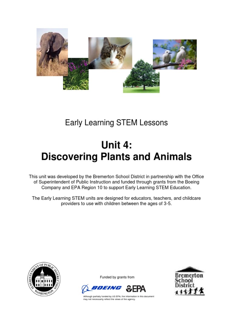 Unit 4 Discovering Plants and Animals | PDF | Books | Trees