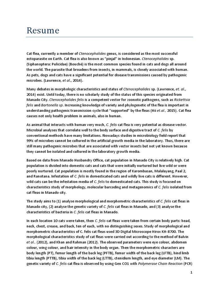 DR Dina Resume | PDF | Cats | Biology