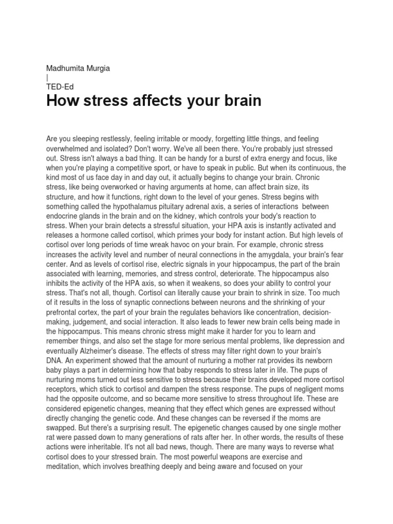 How Stress Affects Your Brain: Madhumita Murgia - TED-Ed | PDF | Stress ...