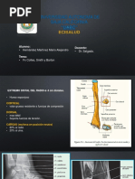 Tanner Femenino y Masculino Pediatría | PDF | Pecho | Características ...