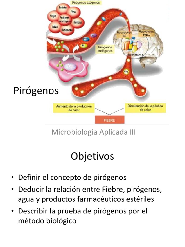 Análisis de los conceptos clave de los pirógenos y su detección ...