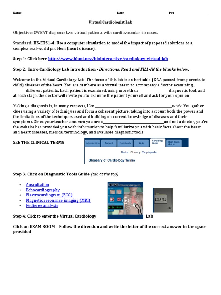 Virtual Cardiology Lab Diagnosis | PDF | Cardiology | Echocardiography
