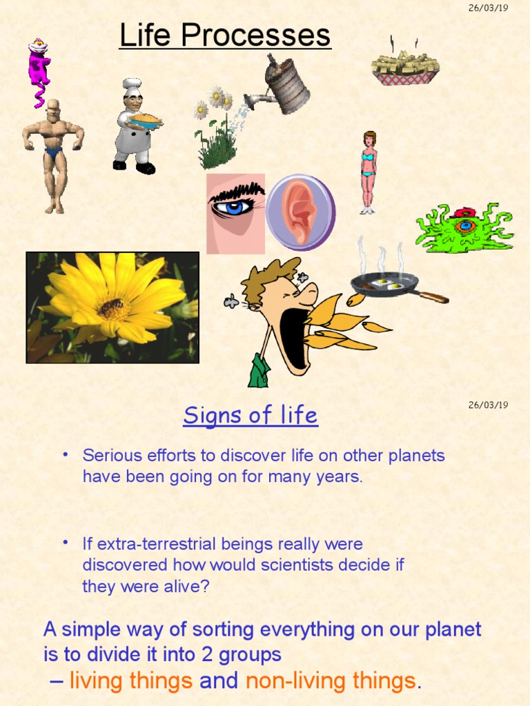 Understanding the 7 Life Processes | PDF | Cellular Respiration | Senses