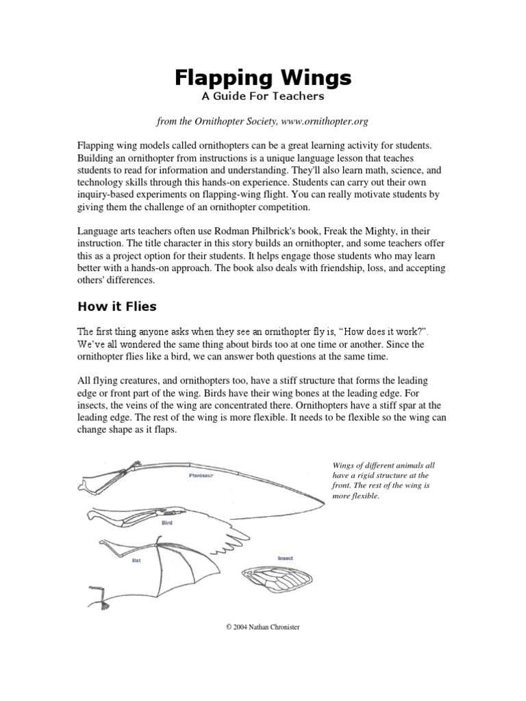Flapping Wings - Ornithopter | PDF | Lift (Force) | Wing