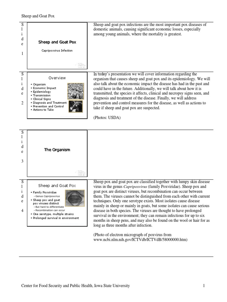 Sheep and Goat Pox: - Genus Capripoxvirus | PDF | Infection | Elisa