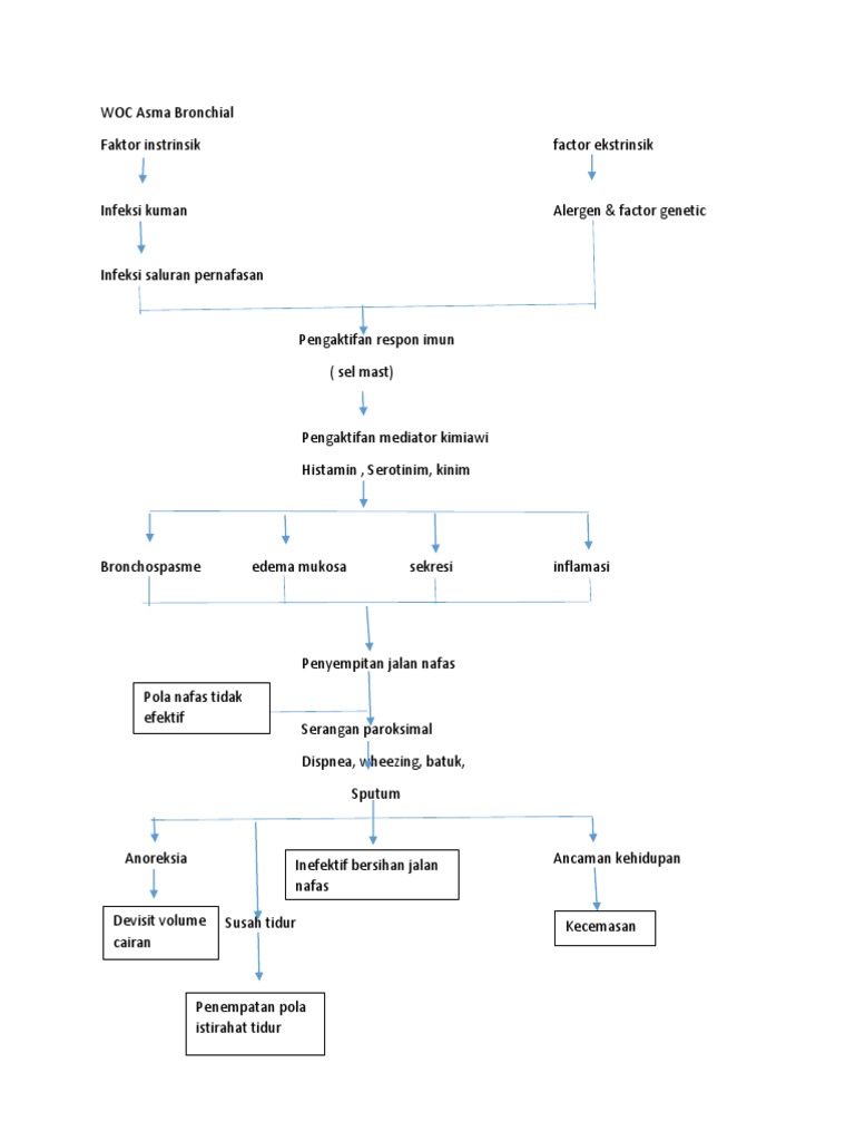 WOC Asma Bronchial | PDF