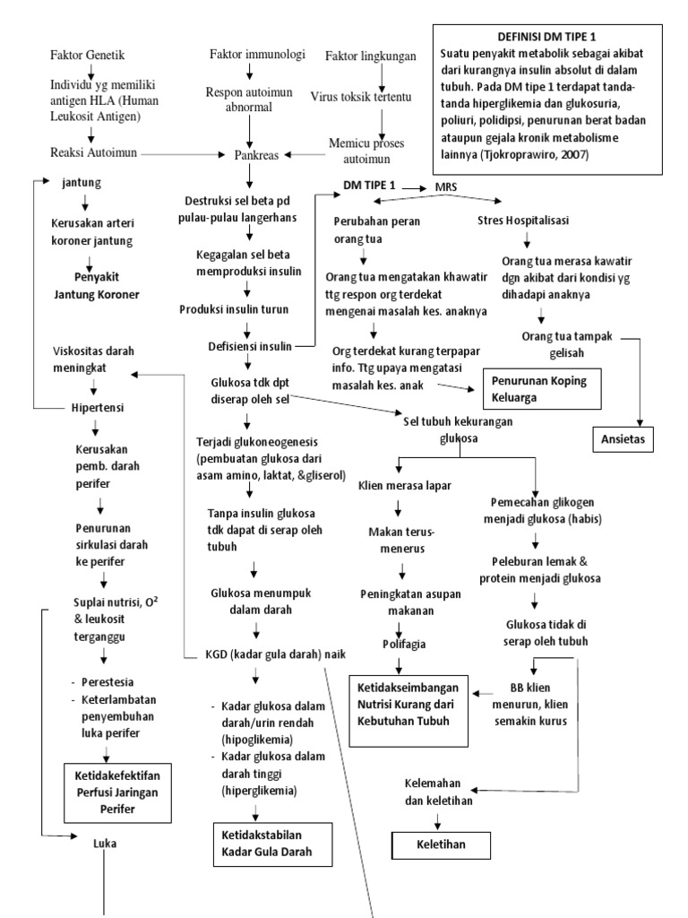 Woc DM Tipe 1 Yg Bener | PDF