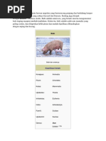 Jenis-Jenis Sapi di Indonesia | PDF