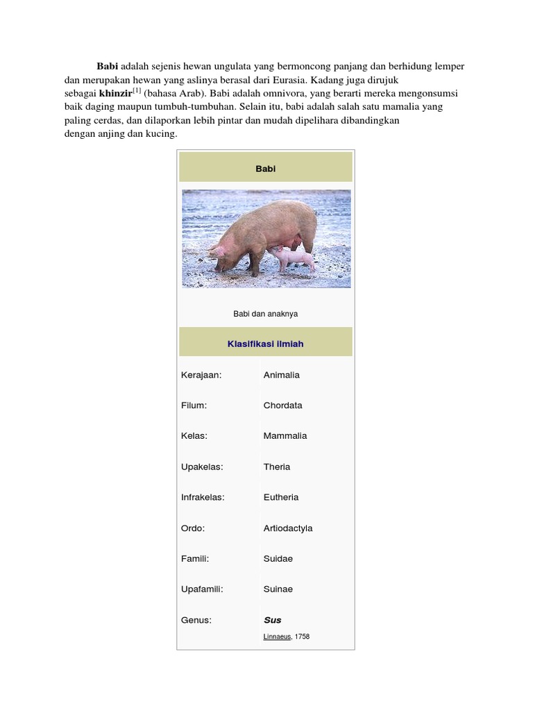 Babi | PDF | Kesehatan Holistik | Sains & Matematika
