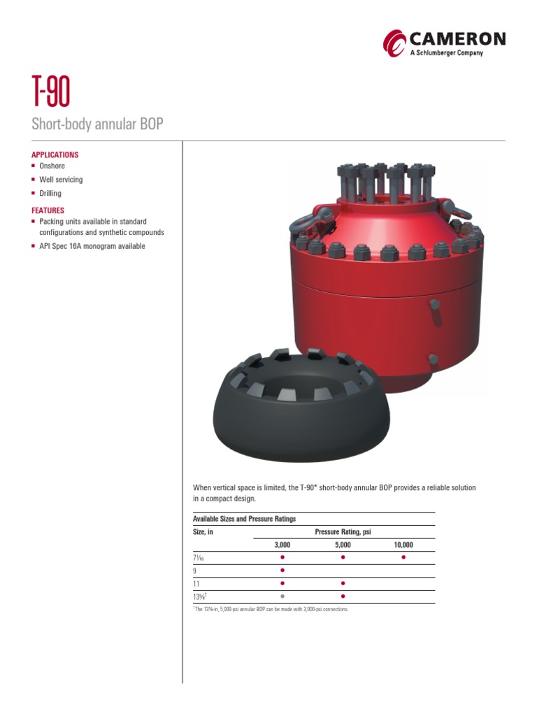 Sara Bop | PDF | Pressure | Chemical Engineering