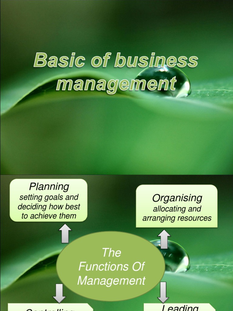 Business Management Basics | PDF | Goal | Strategic Planning