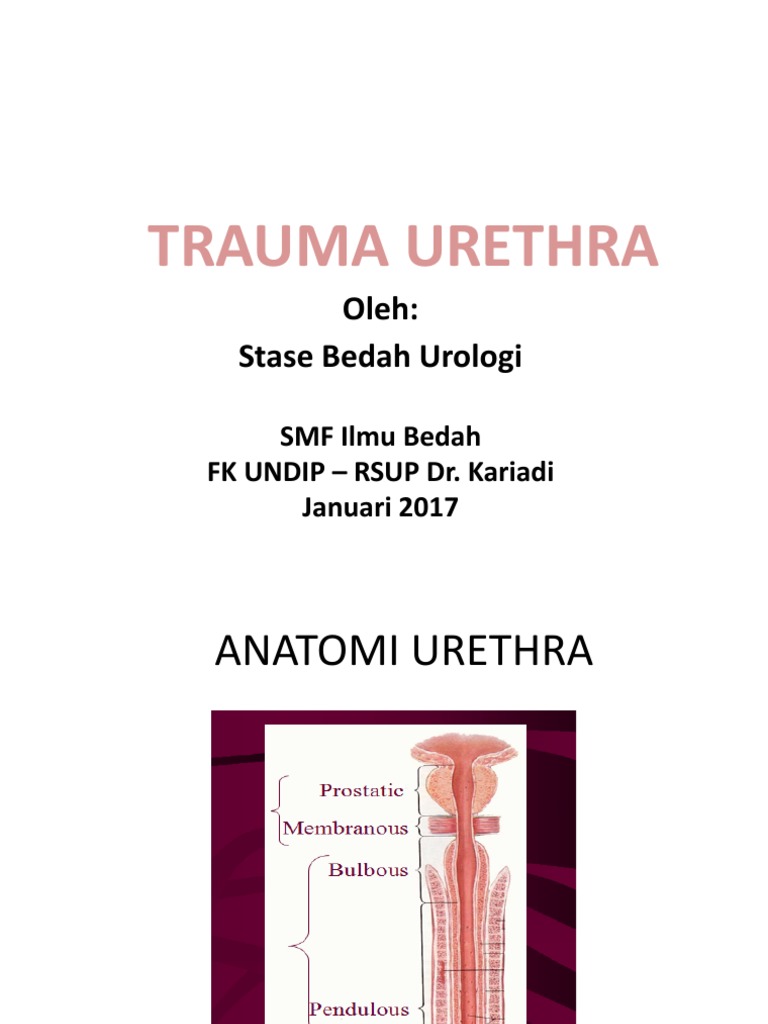 Trauma Uretra - Ilmiah | PDF | Urinary Incontinence | Urology