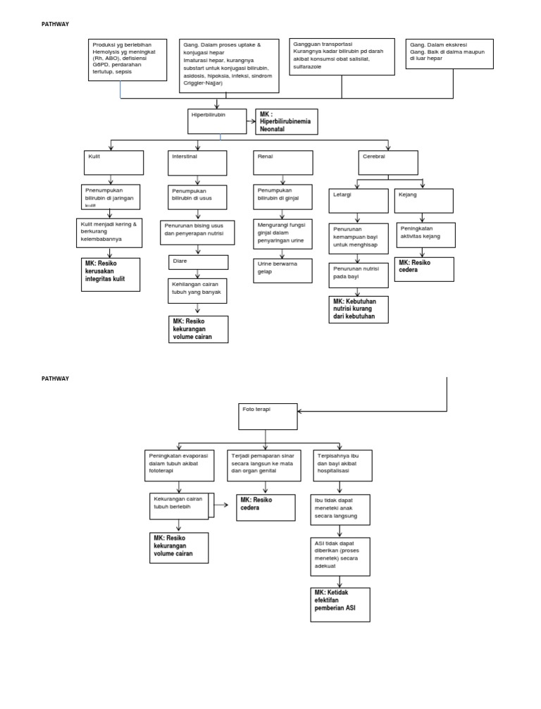 Pathway Ikterus | PDF