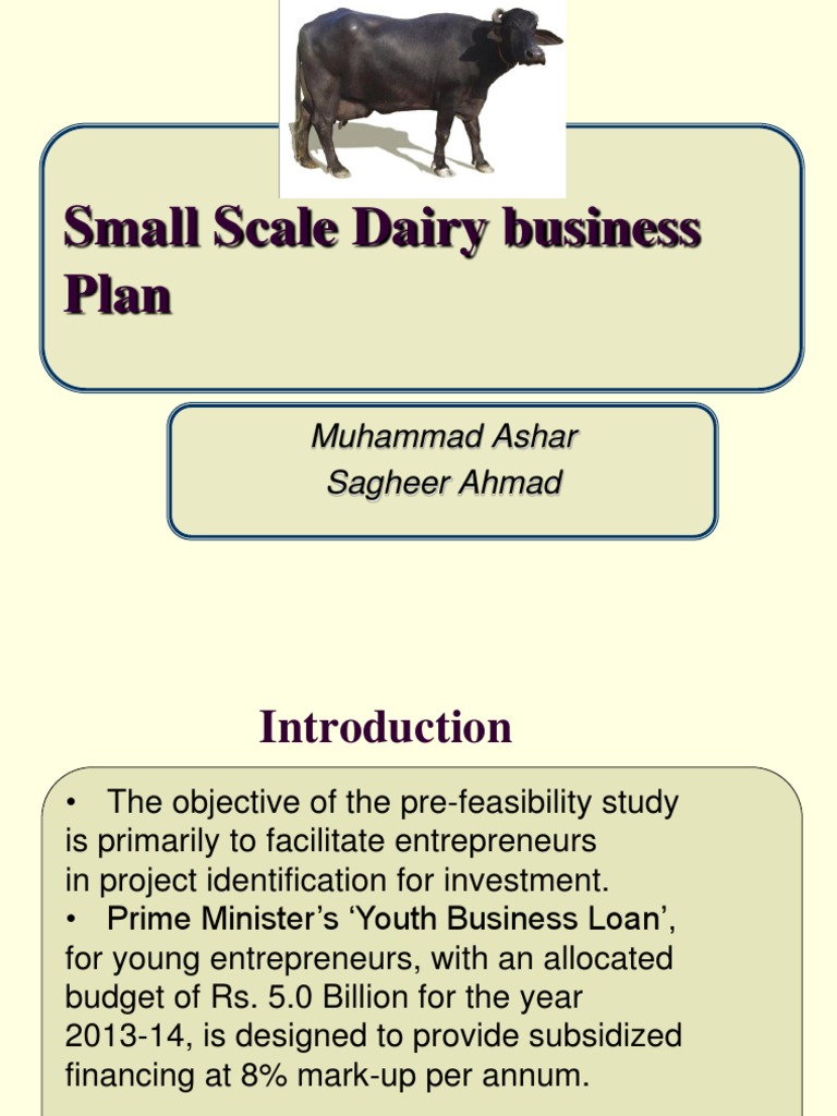 Small Scale Dairy Business Plan Guide | PDF | Dairy Farming | Dairy Cattle