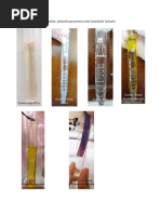 Tes Esbach | PDF | Kesehatan Holistik