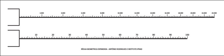 Expanded Bovis Scale | PDF