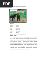 Jenis Burung Elang Di Indonesia | PDF