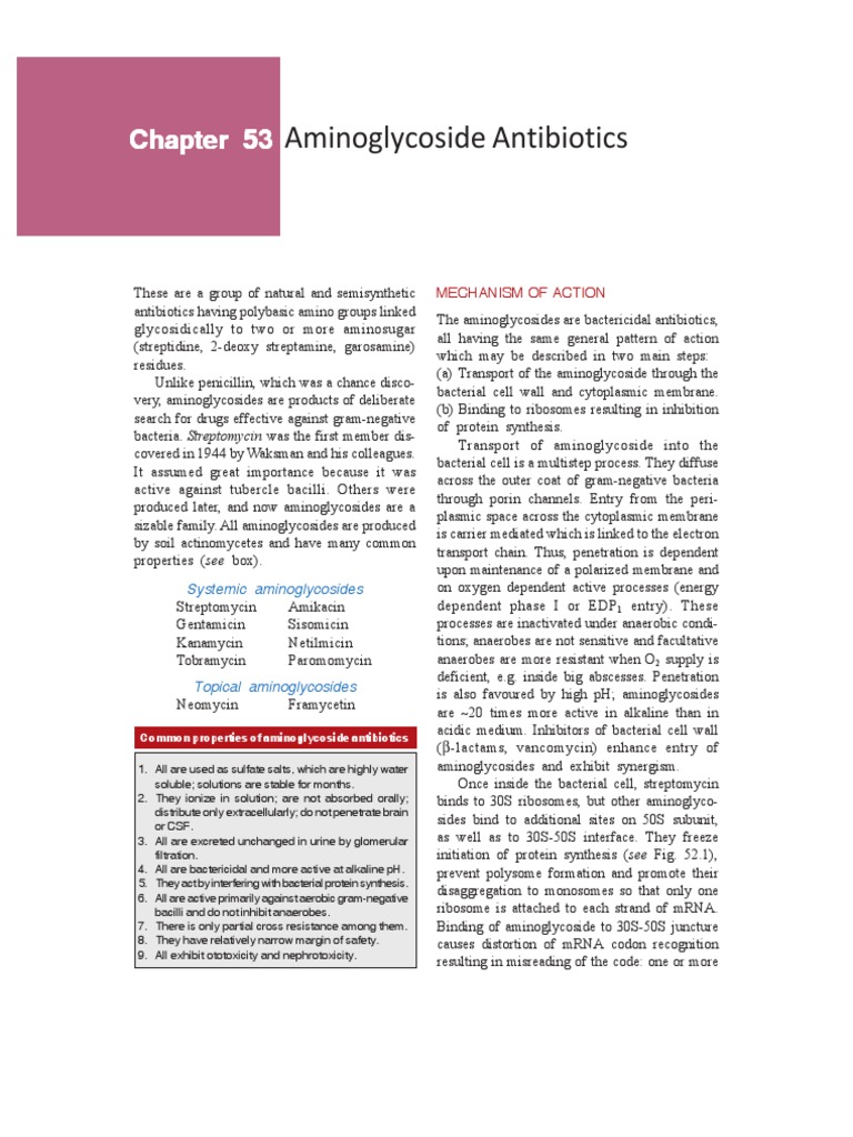 Aminoglycoside Antibiotics: Mechanism of Action | PDF | Clinical ...