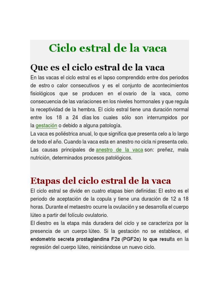 Ciclo Estral de La Vaca | PDF | Hormona luteinizante | Reproducción