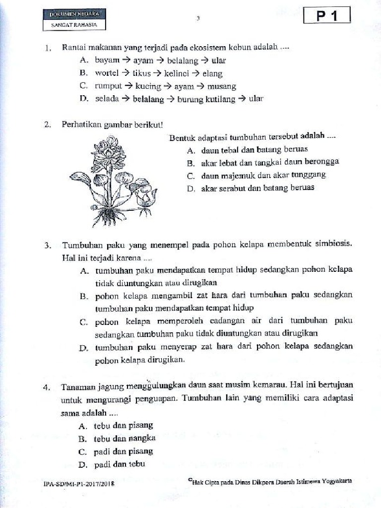Salinan SOAL USBN IPA SD - Ok PDF | PDF