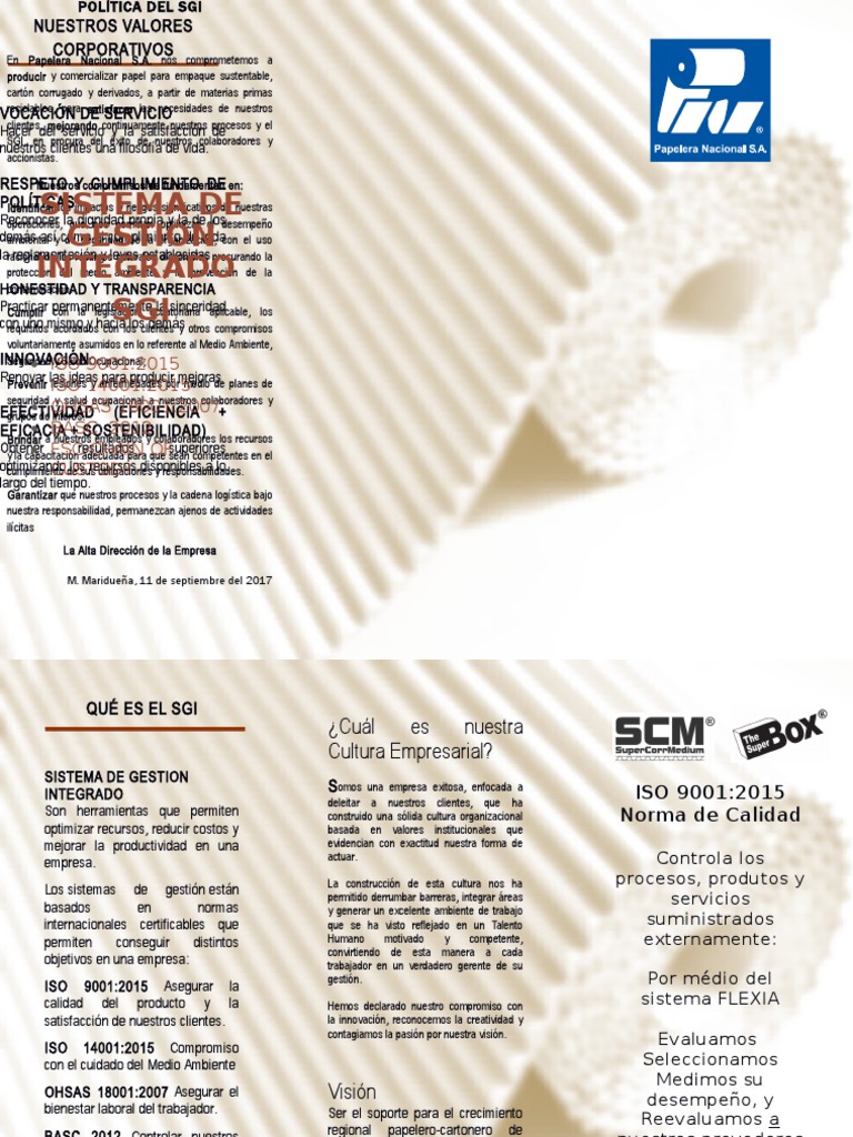 Triptico Del SGI | PDF | Logística | Business