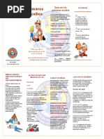 Escala San Elian Minsal | PDF | Pie | Enfermedades y trastornos humanos