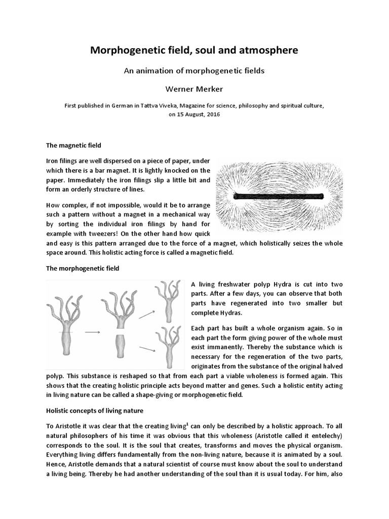 Morphogenetic Field, Soul and Atmosphere: An Animation of Morphogenetic Fields Werner Merker ...