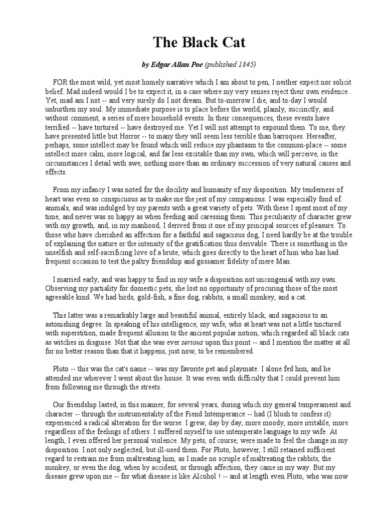 The Black Cat | PDF | Plaster | Cats