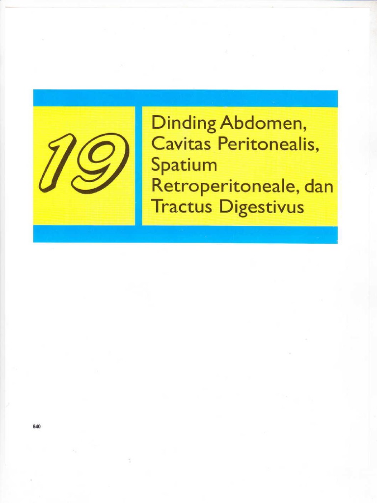 Bab 19 Dinding Abdomen, Cavitas Peritonealis, Spatium Retroperitoneale ...