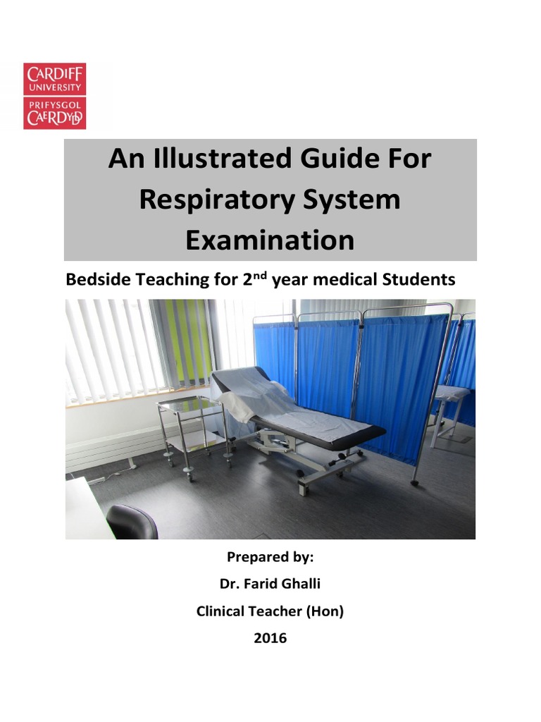 An In-Depth Guide to Respiratory Examination: A Step-by-Step Approach ...