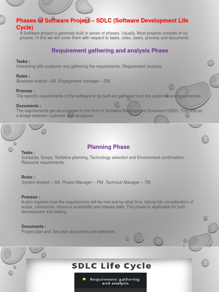 Phases of Software Project (SDLC) | PDF | Software Testing | Software ...