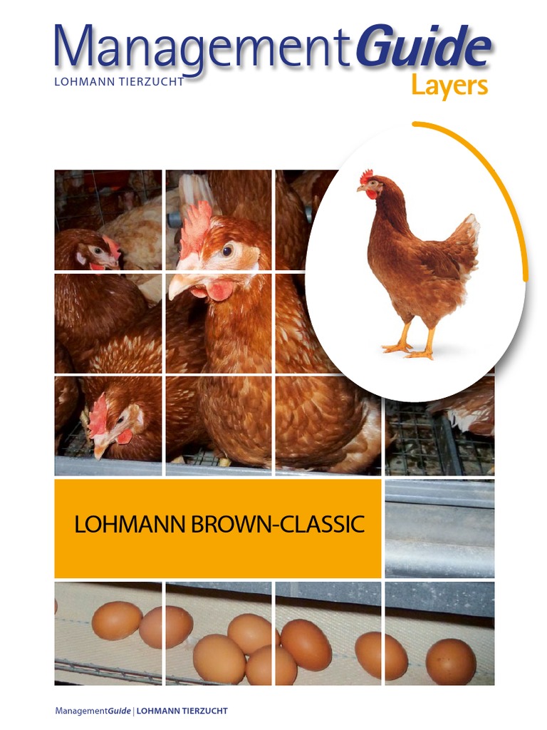 Lohmann Brown Layer Management Guide | PDF | Nutrients | Nutrition