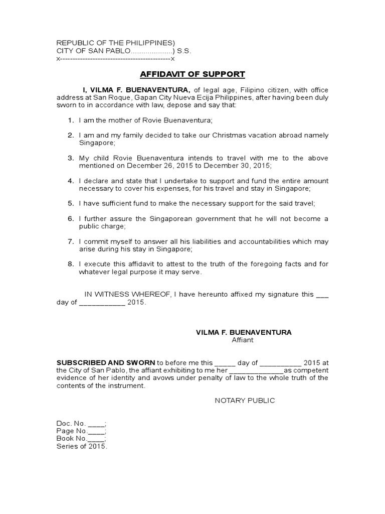Affidavit of Support | PDF