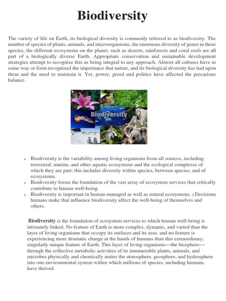Biodiversity: Biodiversity Is The Foundation of Ecosystem Services To ...