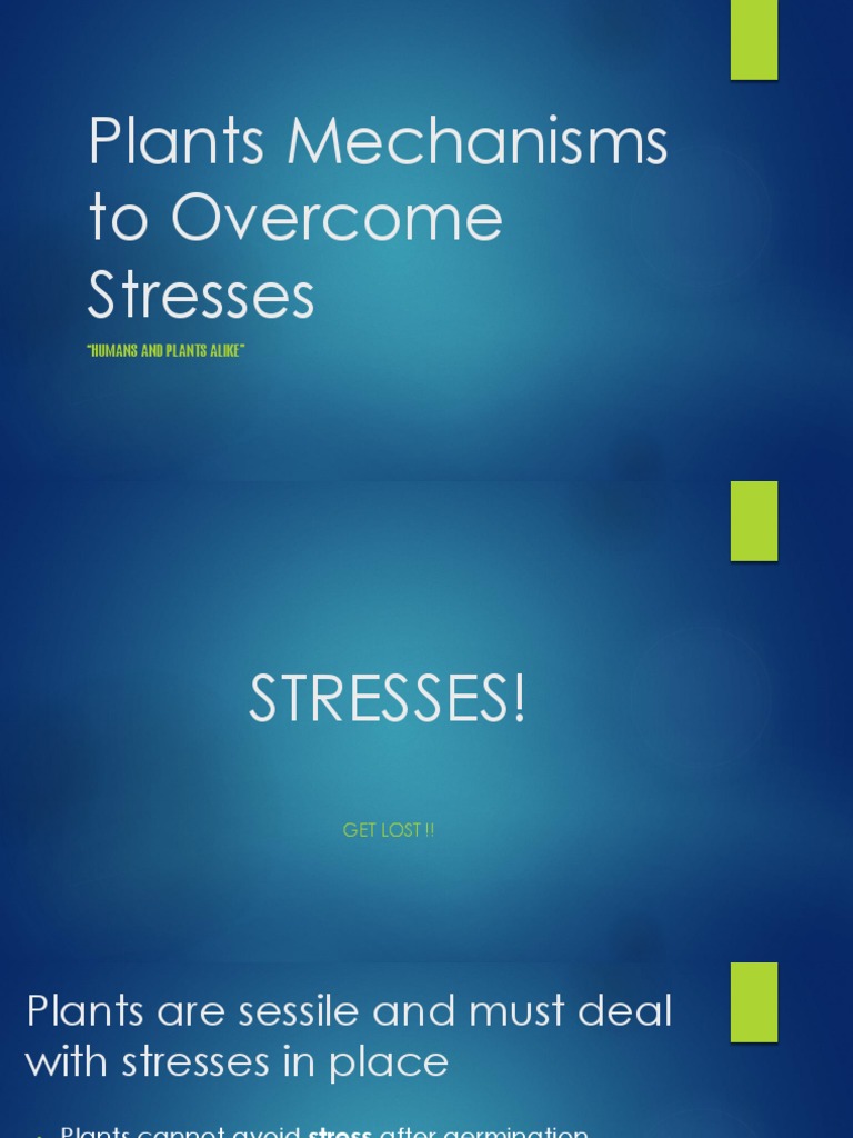 Plant Stress Responses: Understanding How Plants Overcome Abiotic and ...